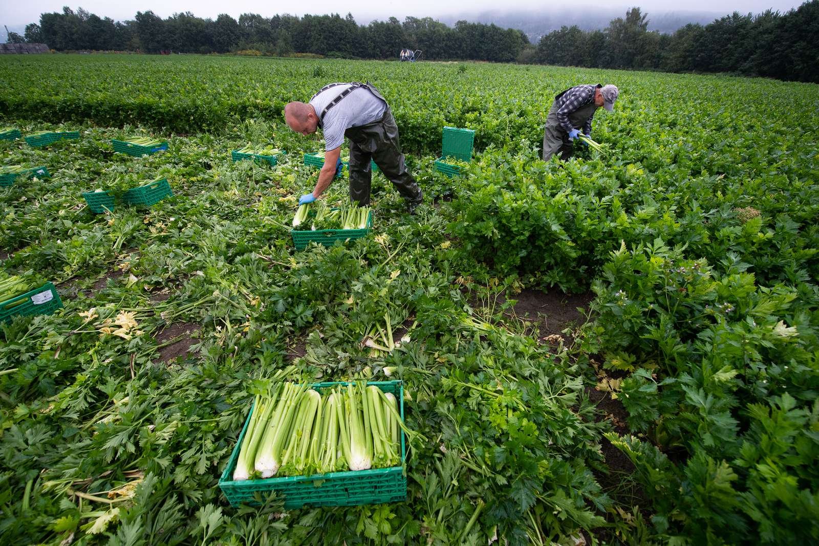 Miljø og klima - Landbruksdirektoratet